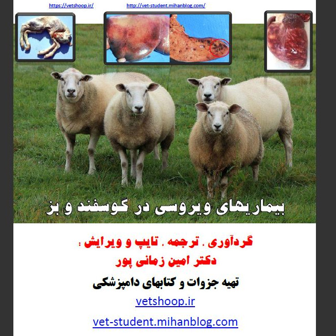فروشگاه آنلاین دامپزشکی وت شاپ کتاب جامع بیماریهای ویروسی در گوسفند و بز